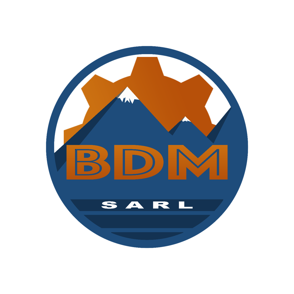 BDM Mining Services SARLU